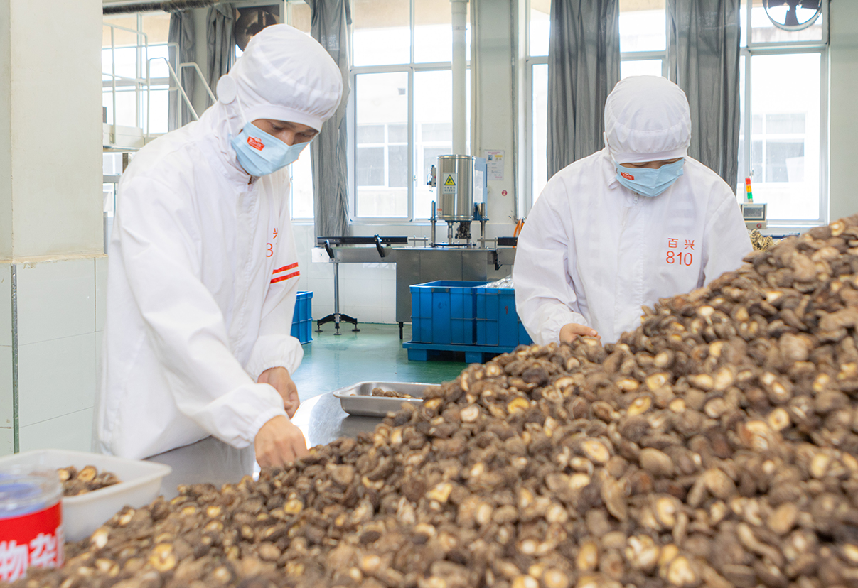 Focus on Mushrooms production OEM ODM Supplier | BaiXing Food